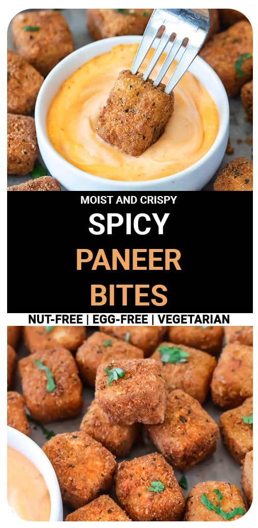 Spicy Paneer Bites ( Paneer nuggets) - Ruchiskitchen
